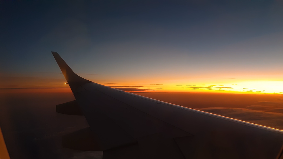 Albatross - Never Miss a Flight Deal | Save $500+ on Flights